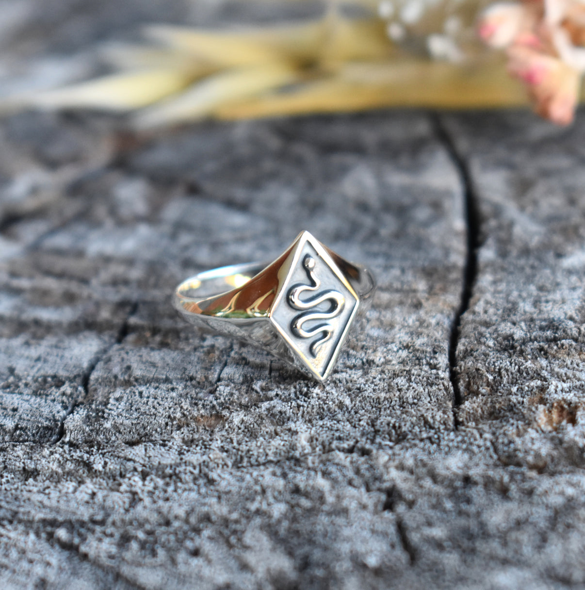 Snake Signet Ring-Sterling Silver – A Wild Violet