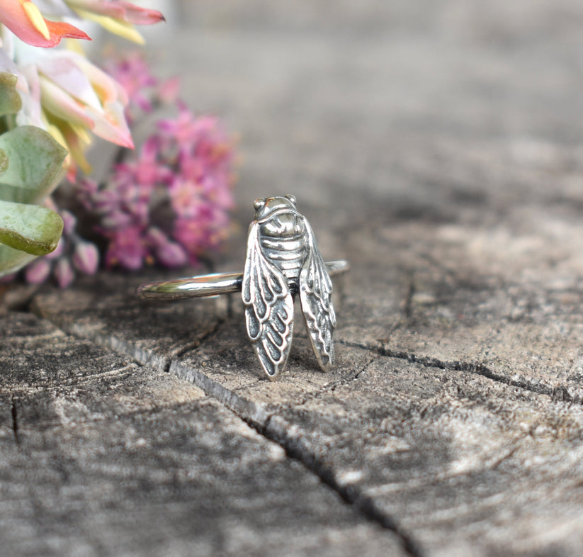 Cicada Ring- Brood Cicada, Entomologist, Cicada Wing, Renewal- Silver ...